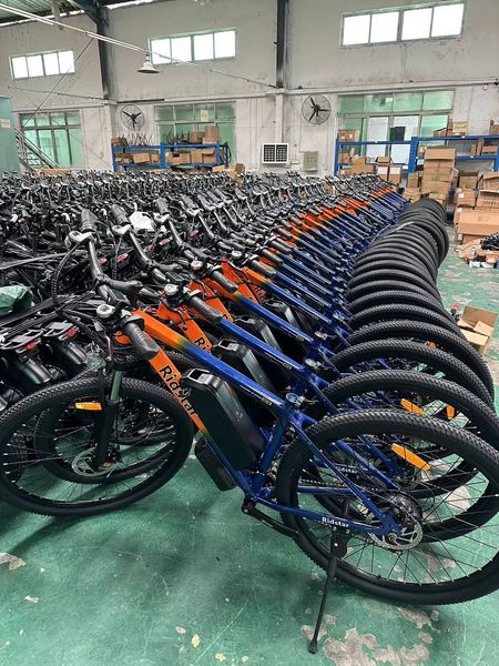 Quality Ridstar Electric Bike & Folding Fat Tire Electric Bike factory ...