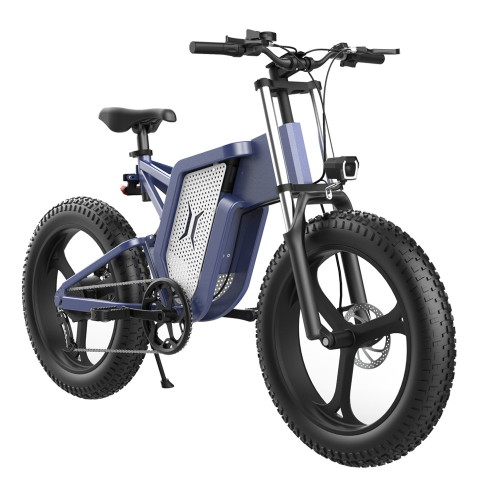 31 - 60km Range Fat Wheel Electric Bike