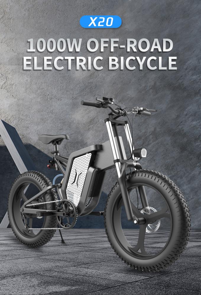 Single Speed Folding Ridstar Electric Bike 60km Long Endurance